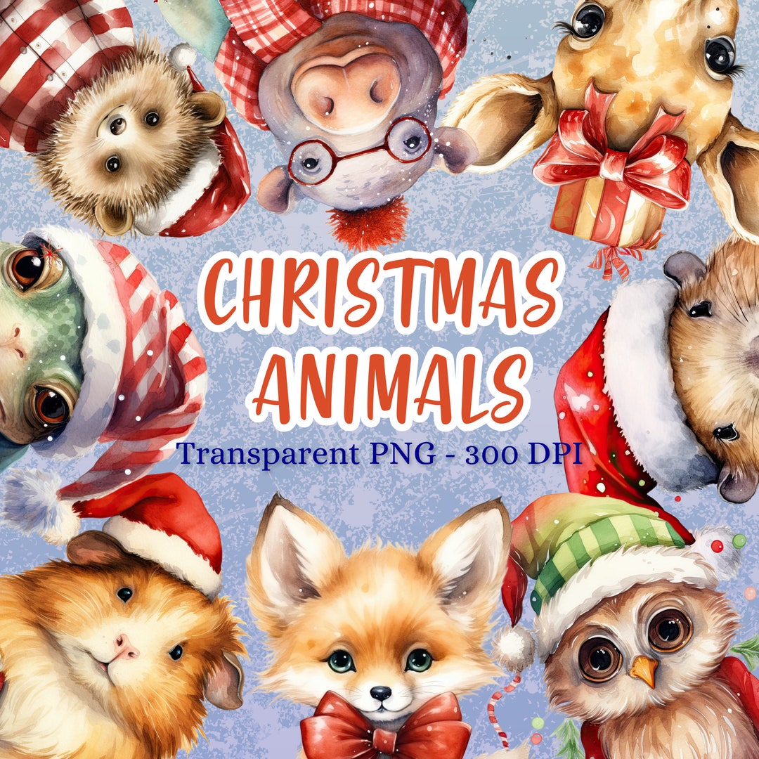 Christmas Animals Clipart Xmas Animals PNG Cute Animals Winter ...