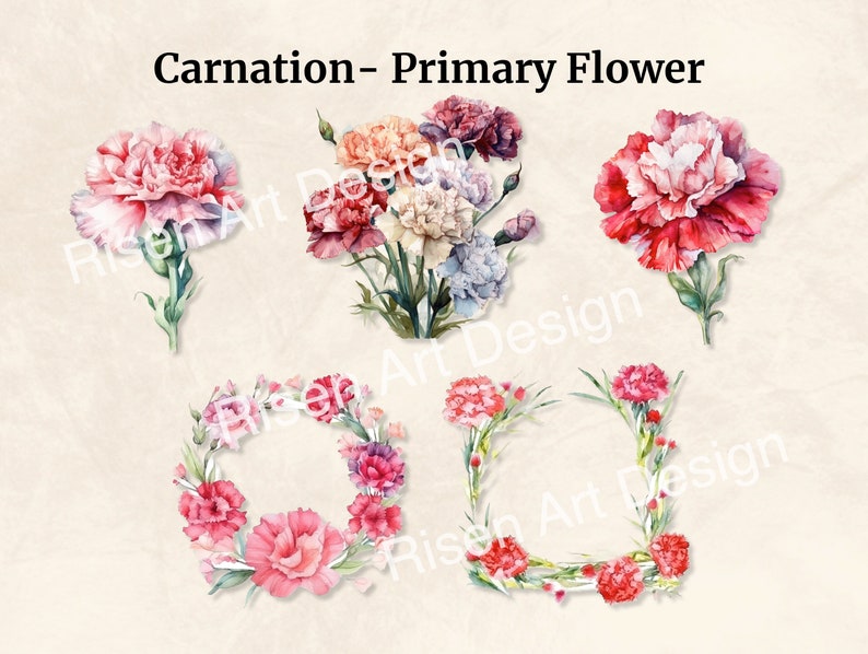 January Birth Month Flower Clipart SVG PNG Flower Invitations - Etsy