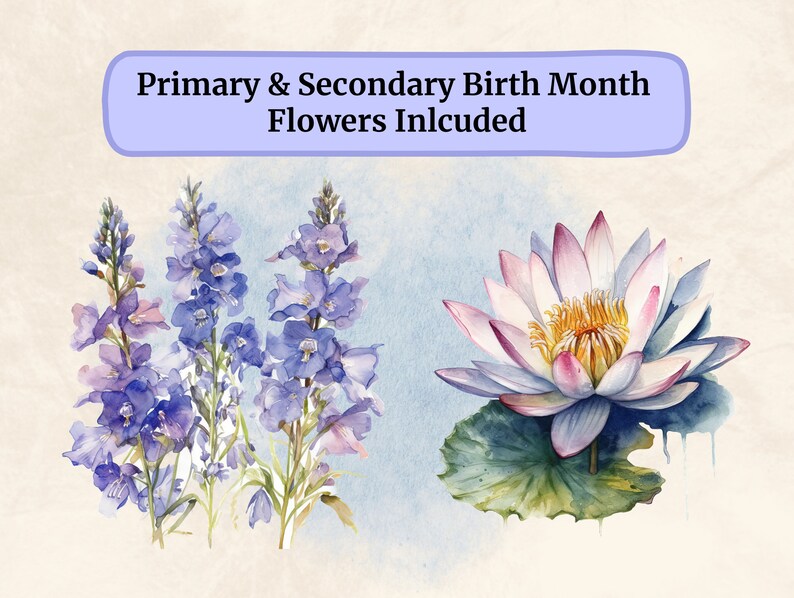 July Birth Month Flower Clipart SVG PNG Flower Invitations - Etsy
