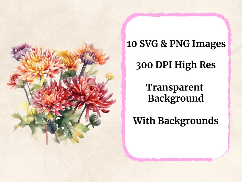 November Birth Month Flower Clipart SVG PNG Flower Invitation - Etsy