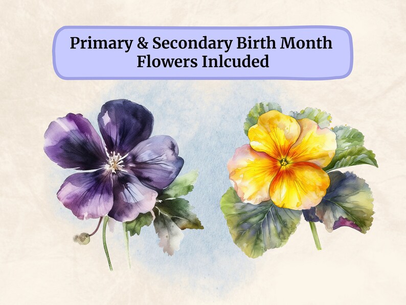 February Birth Month Flower Clipart SVG PNG Flower Invitations - Etsy