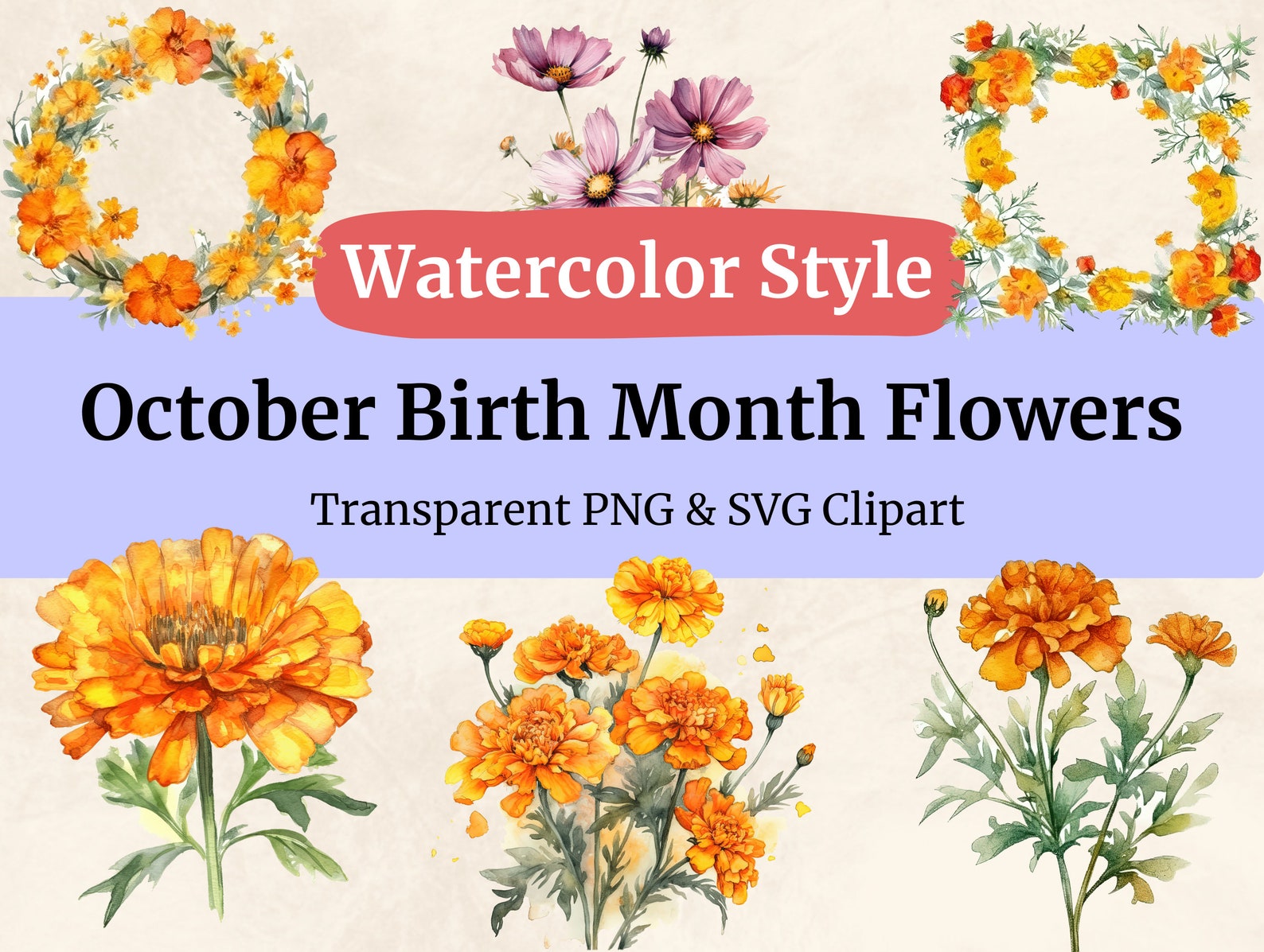 October Birth Month Flower Clipart SVG PNG Flower Invitation Birth ...