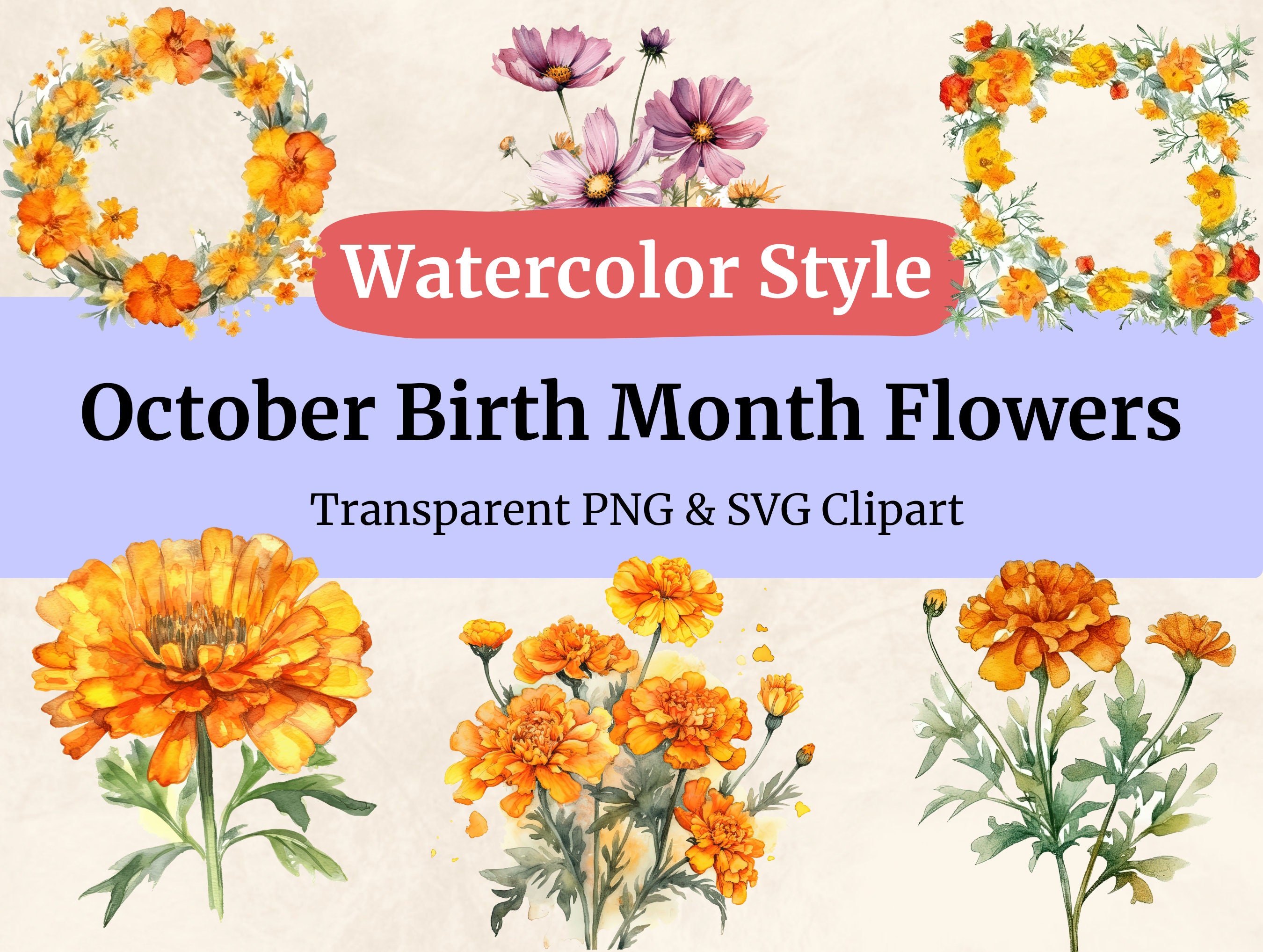 October Birth Month Flower Clipart SVG PNG Flower Invitation Birth ...