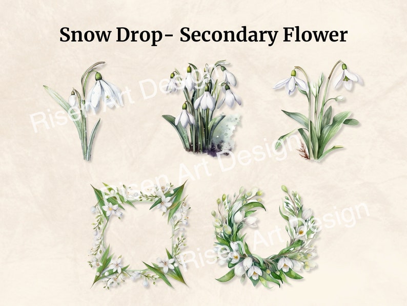 January Birth Month Flower Clipart SVG PNG Flower Invitations - Etsy