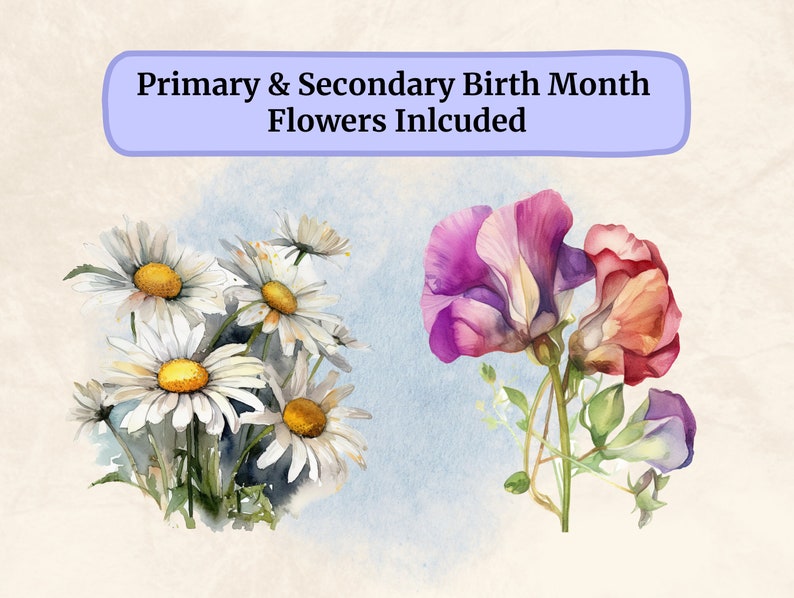 April Birth Month Flower Clipart SVG PNG Flower Invitations - Etsy