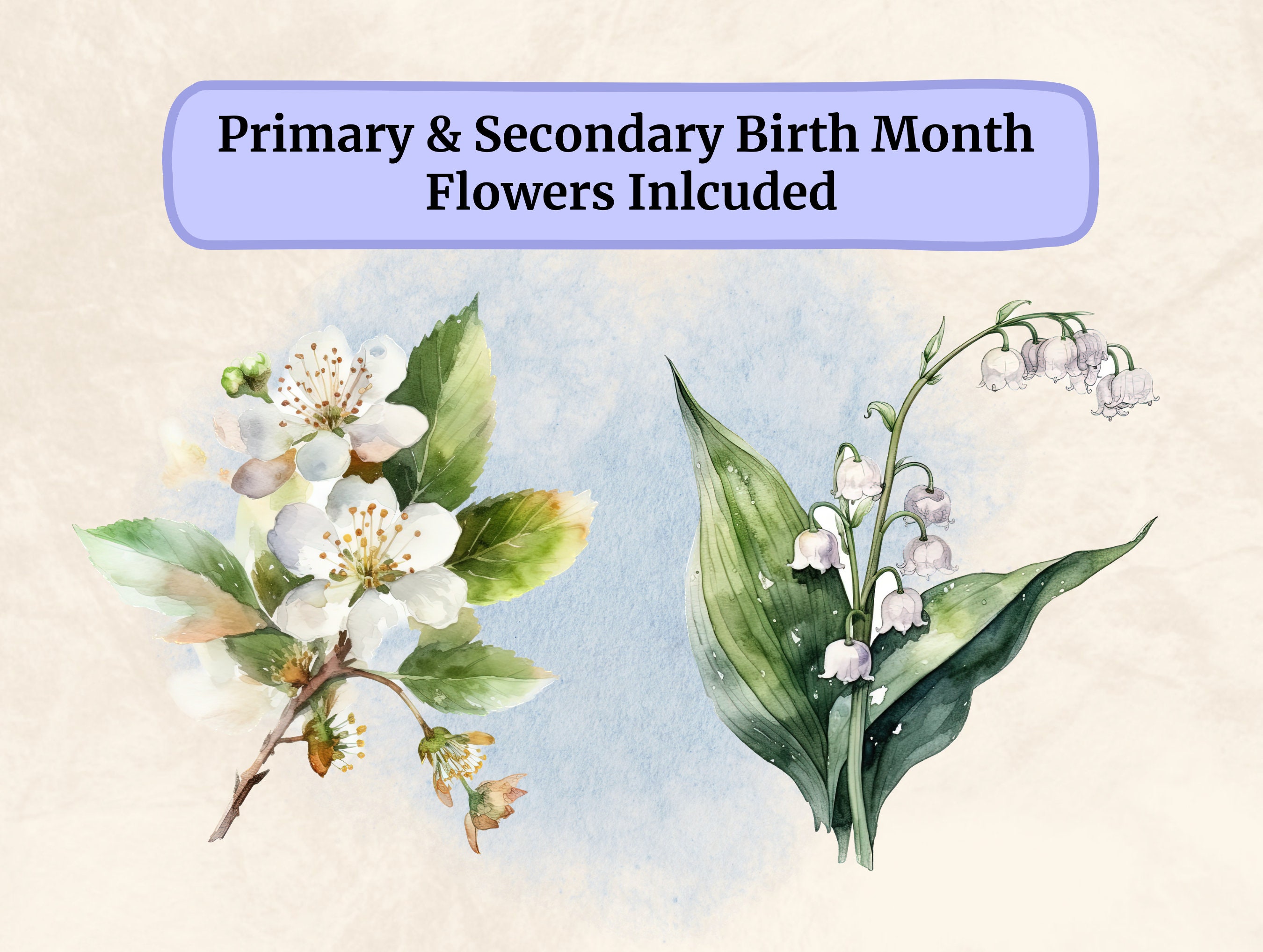 May Birth Month Flower Clipart SVG PNG Flower Invitations - Etsy Singapore