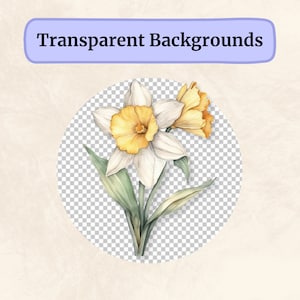 January Birth Month Flower Clipart SVG PNG Flower Invitations Birth ...