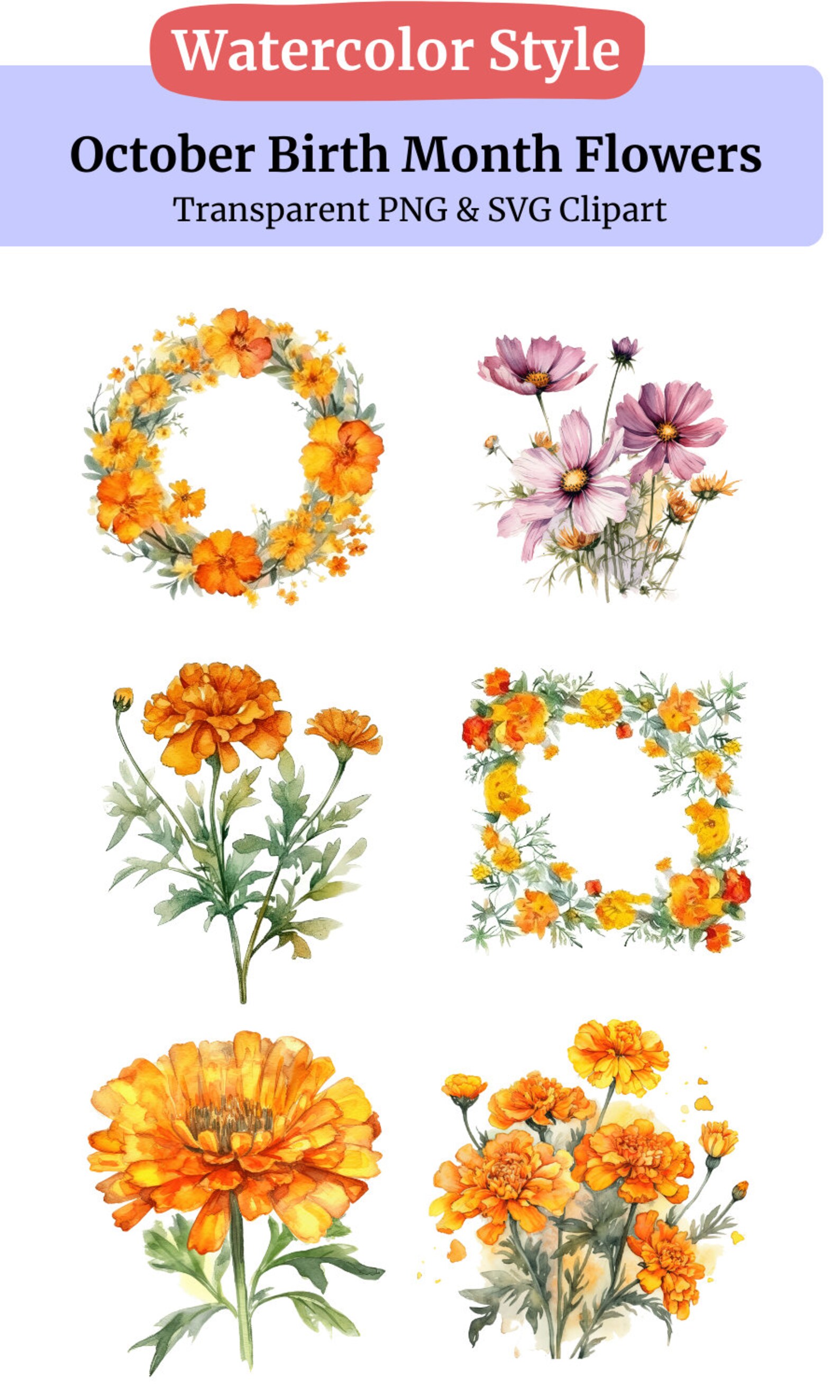 October Birth Month Flower Clipart SVG PNG Flower Invitation Birth ...