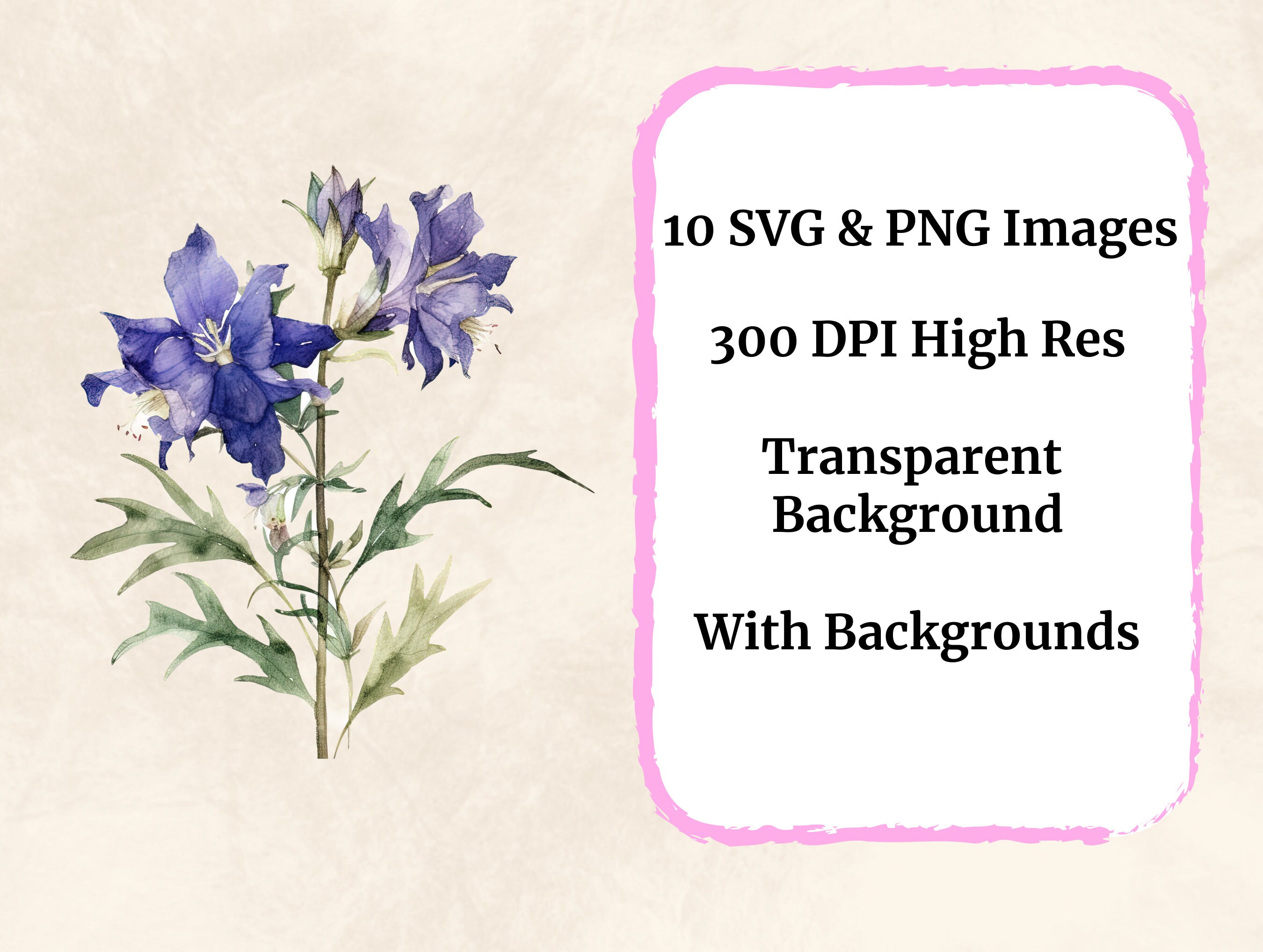 July Birth Month Flower Clipart SVG PNG Flower Invitations - Etsy