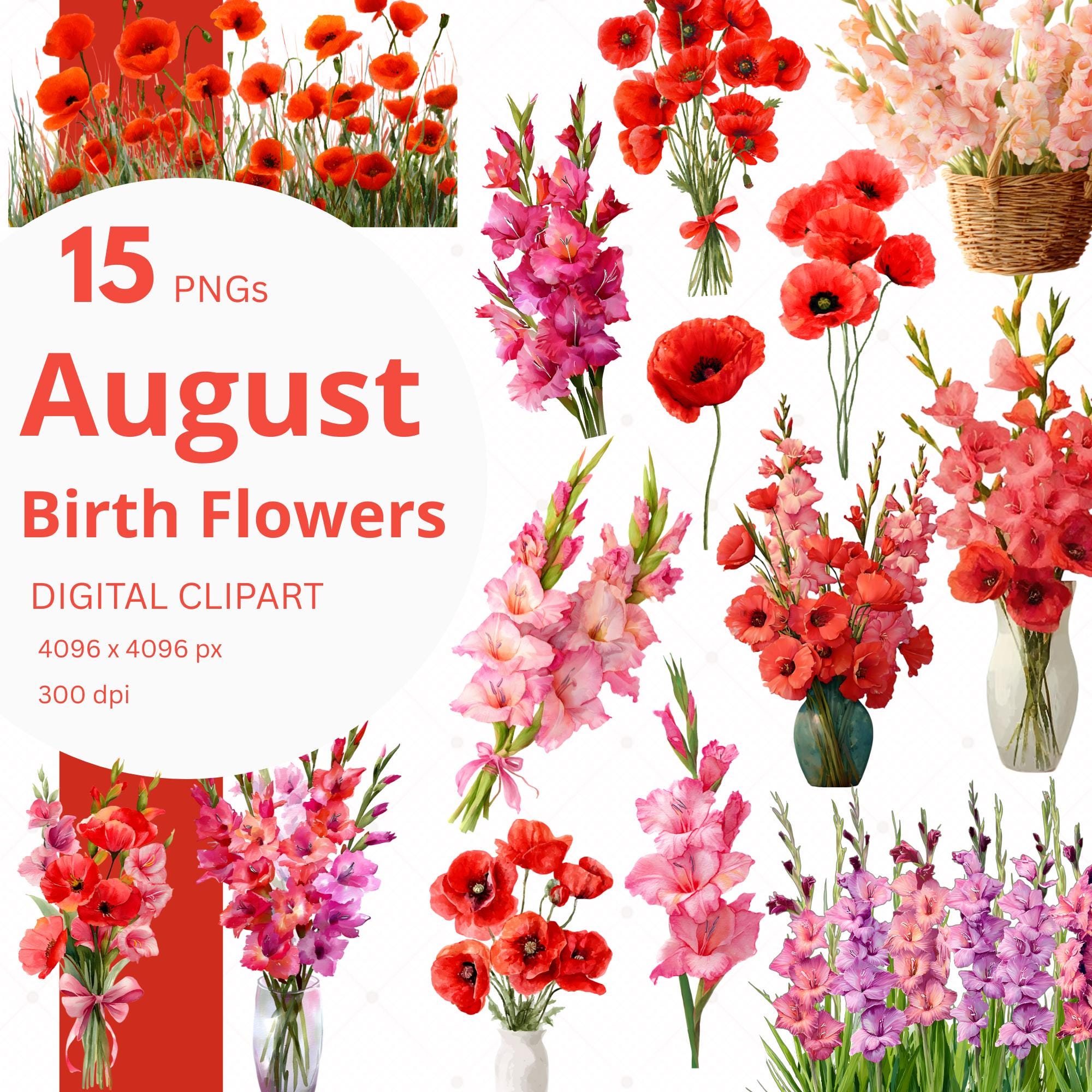 August Birth Flower Clipart PNG Floral Watercolor Clip Art Poppy ...
