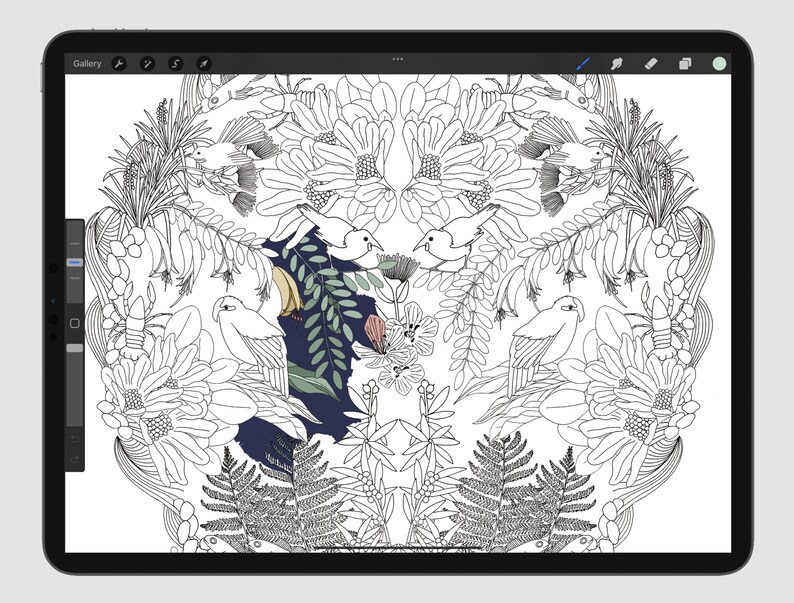 Native Plant Coloring Page High-res Download Coloring Page Art to ...