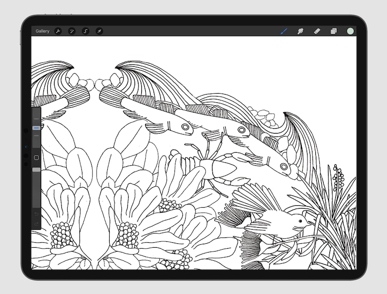 Native Plant Coloring Page High-res Download Coloring Page Art to ...