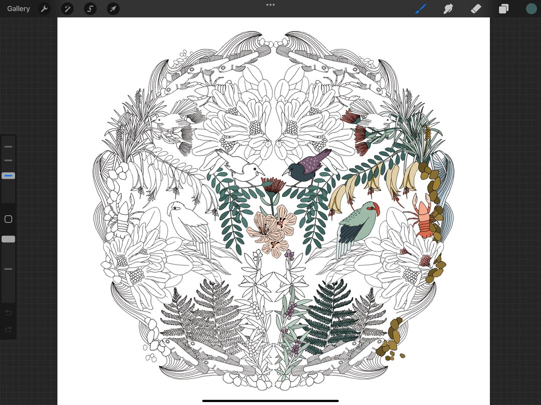 Native Plant Coloring Page High-res Download Coloring Page Art to ...