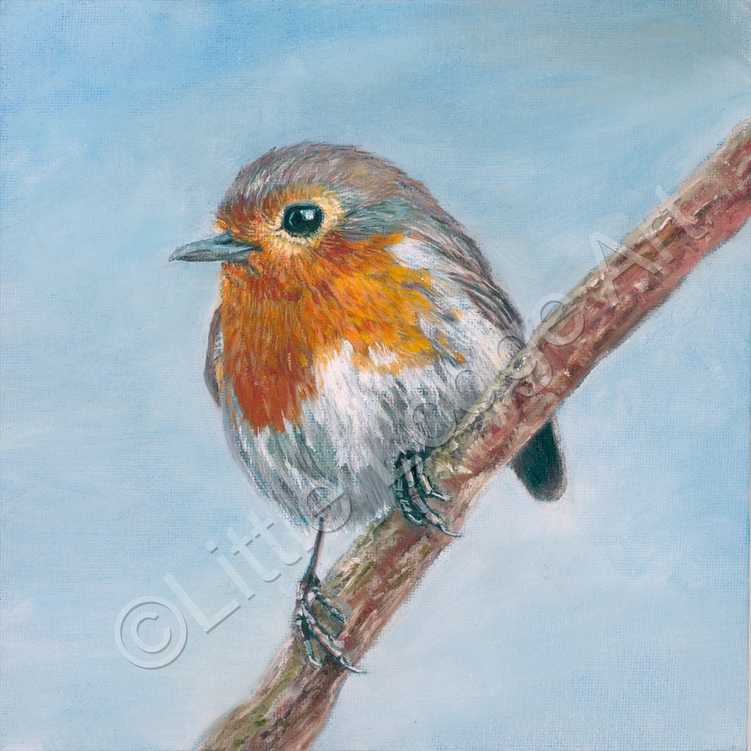 Robin Redbreast Mounted Art Print - Etsy UK