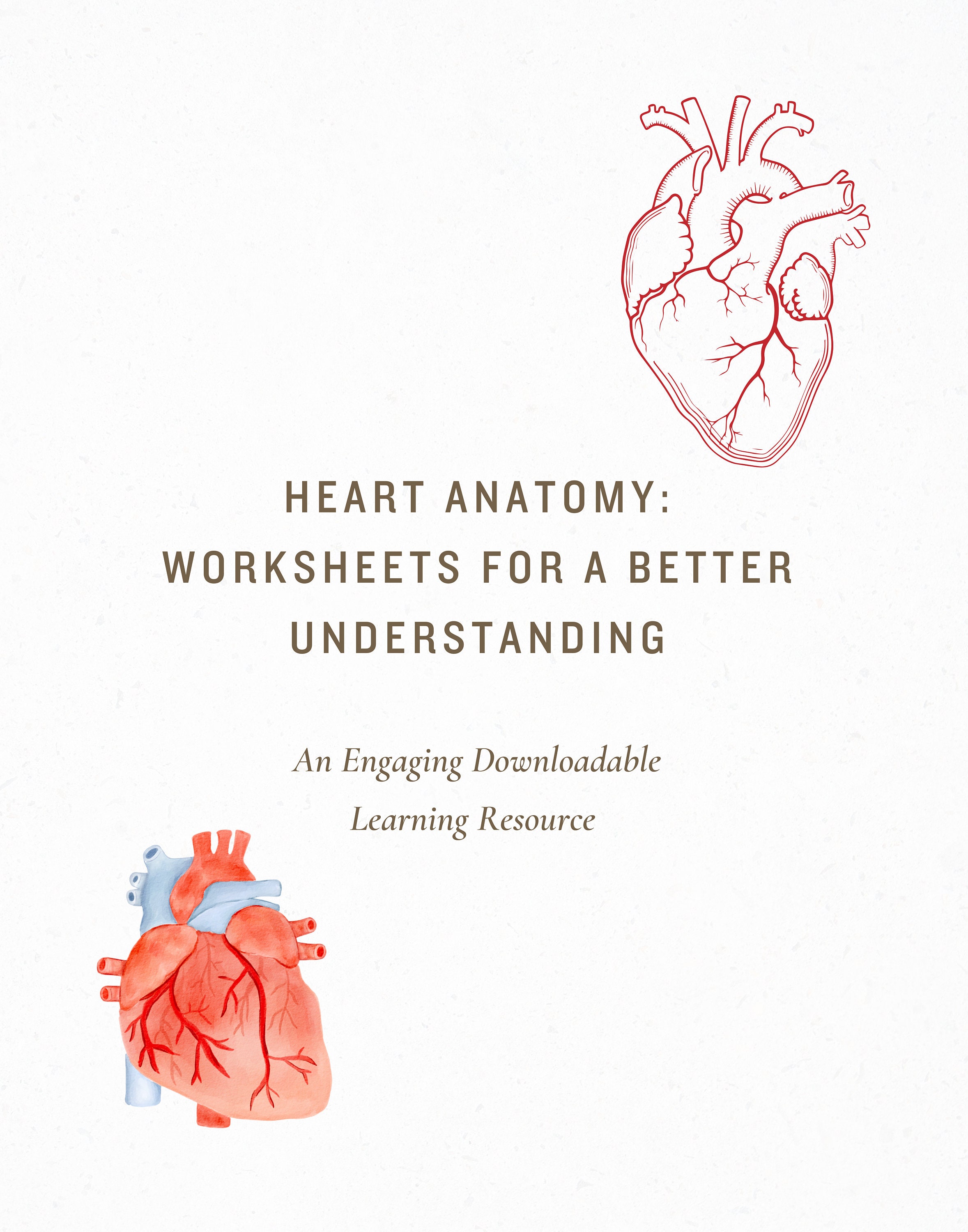 Exploring the Heart: Worksheets for A Better Understanding/emt & Med ...