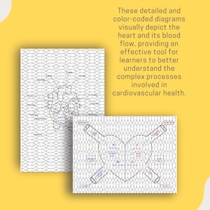 Exploring the Heart: Worksheets for A Better Understanding/emt & Med ...