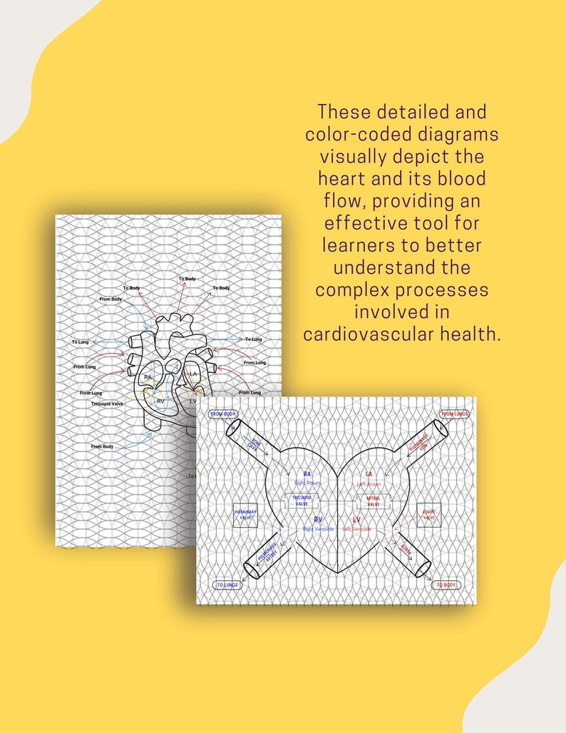 Exploring the Heart: Worksheets for A Better Understanding/emt & Med ...