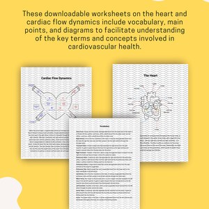 Exploring the Heart: Worksheets for A Better Understanding/emt & Med ...