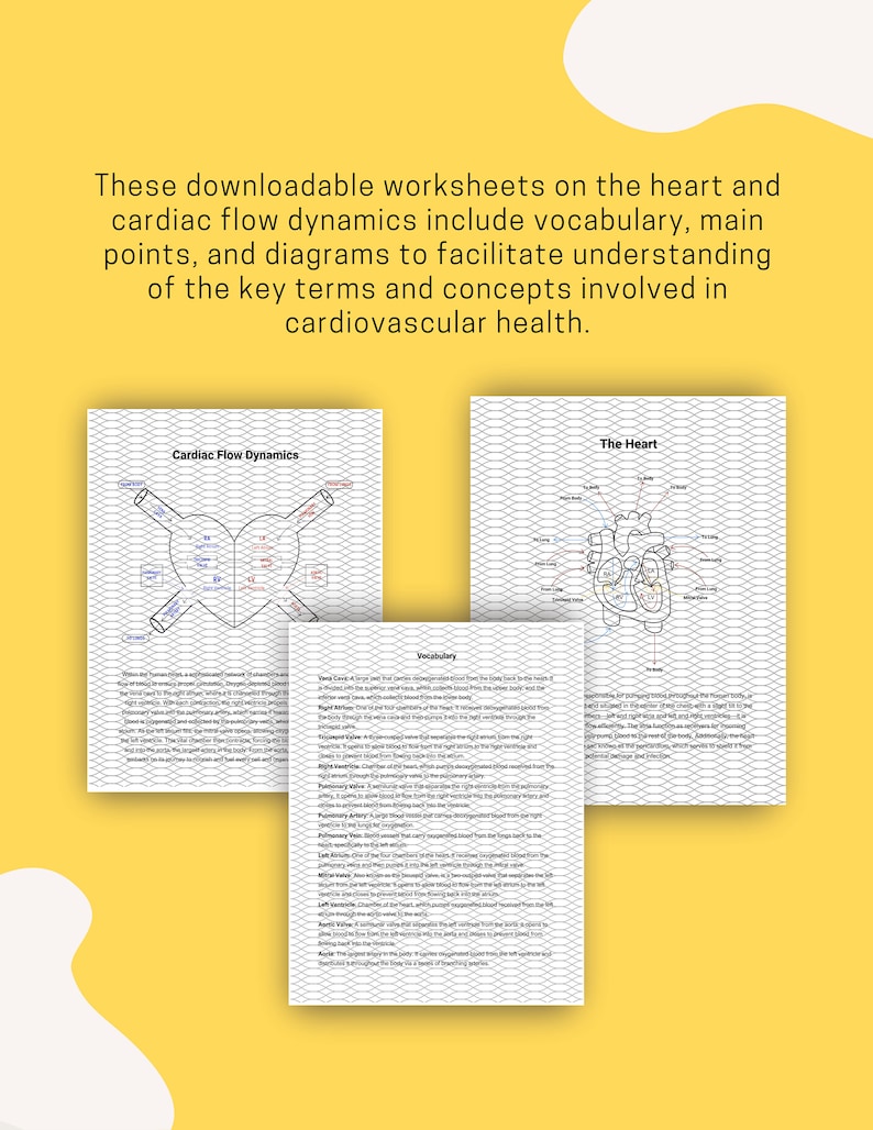 Exploring the Heart: Worksheets for A Better Understanding/emt & Med ...