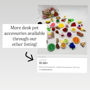 DESK PETS for Classroom- 30 Pack of Desk Pet Animals for Students - Etsy
