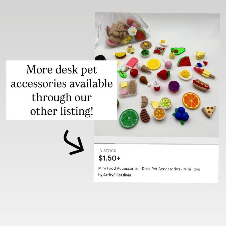 DESK PETS for Classroom- 30 Pack of Desk Pet Animals for Students - Etsy