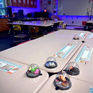 Desk Pets Classroom Set - 30 Unique Student Adoption Animals - Etsy