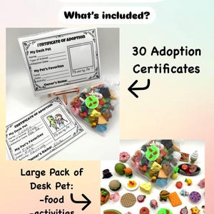 DESK PETS for Classroom- 30 Pack of Desk Pet Animals for Students - Etsy