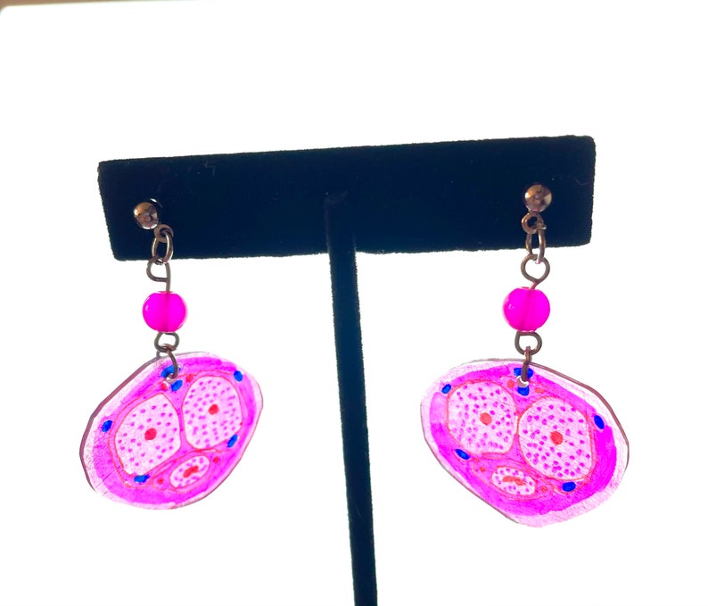 Reproductive Anatomy Earrings Etsy