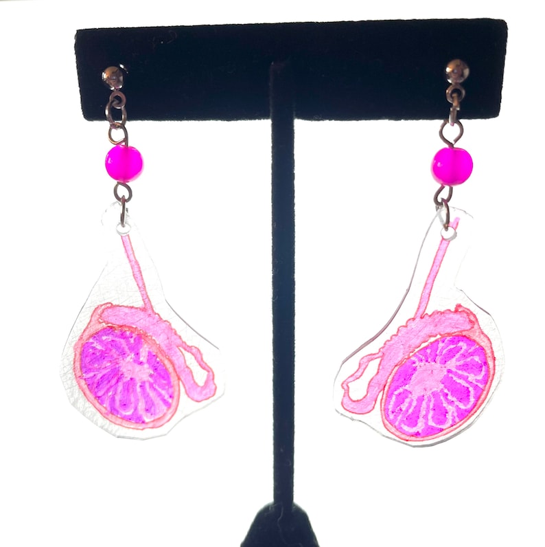 Reproductive Anatomy Earrings - Etsy