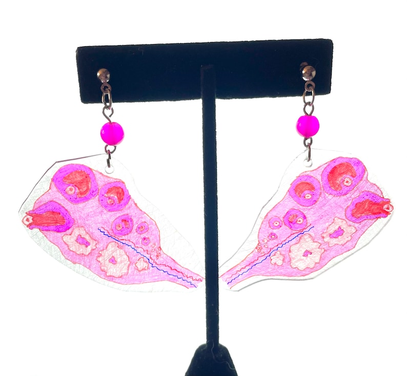 Reproductive Anatomy Earrings - Etsy