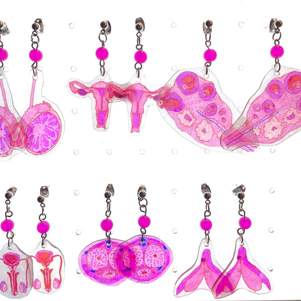 Reproductive System Earrings - Etsy
