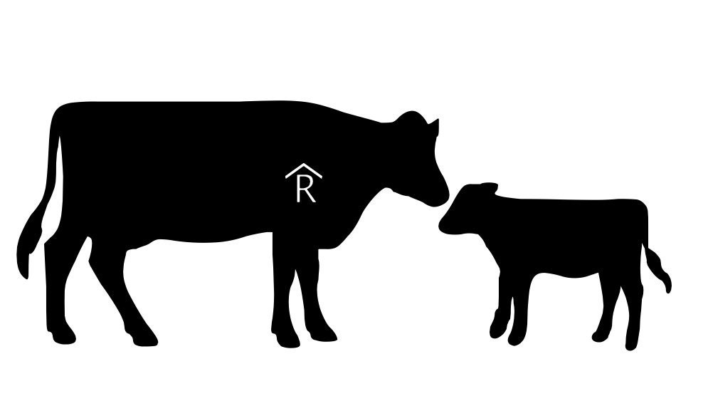 Custom Vinyl Decal Ranch Decal Personalized Brand Decal - Etsy