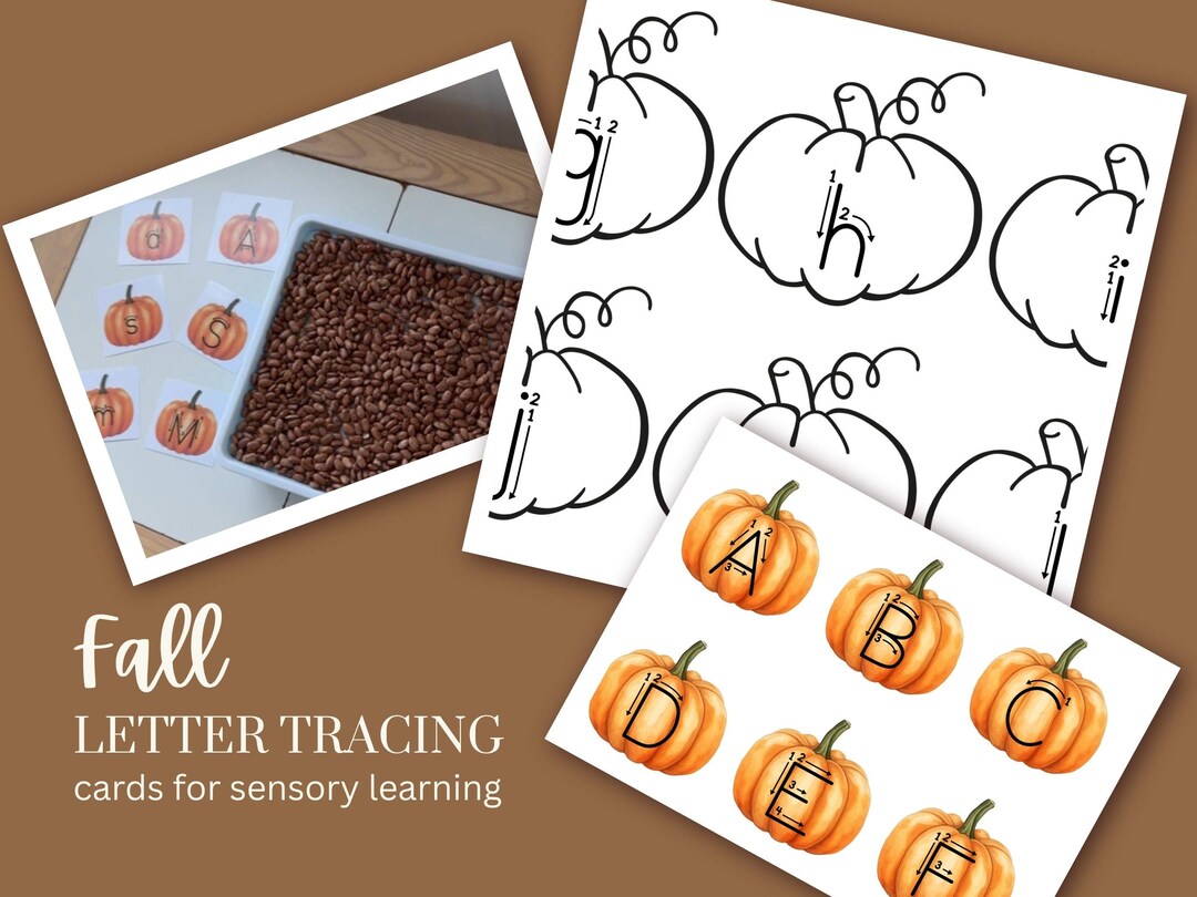 Fall Letter Formation Cards | Alphabet Tracing Cards for Multisensory ...