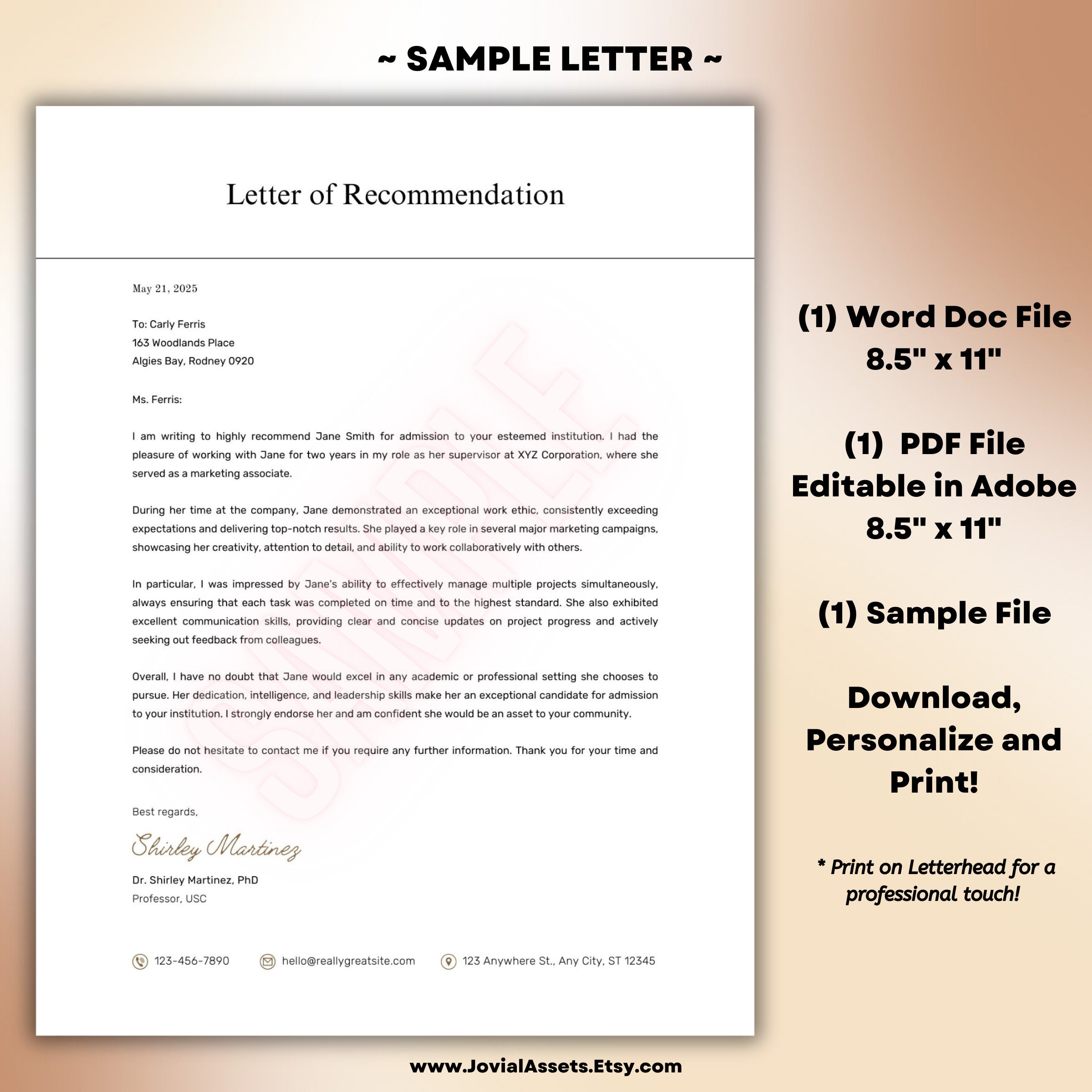 Professional Letter of Recommendation Template Customizable Letter of ...