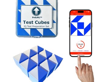 IQ Test Cubes coral Red Version Study for Block-design Test and ...