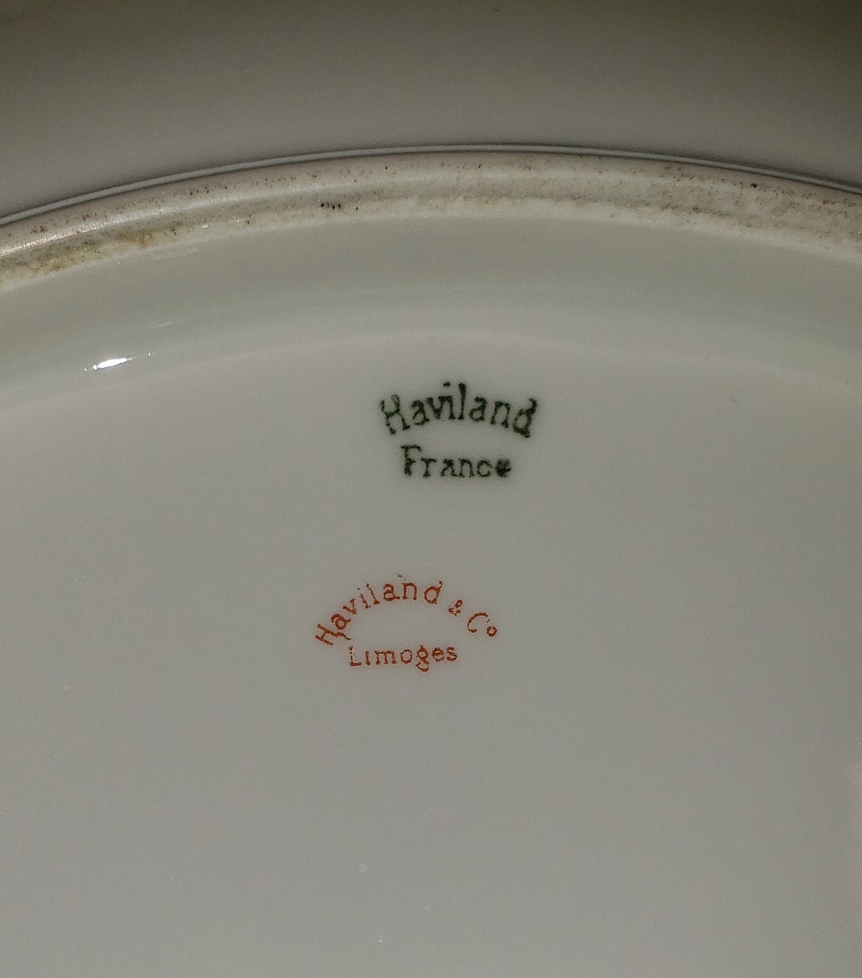 Haviland France Limoges Floral Dinnerware Set; Autumn/fall Colors (49 ...