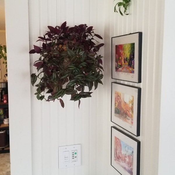 Post Plant Hanger - Etsy