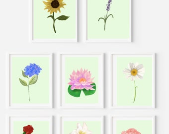 Flower Study Art Print - Etsy