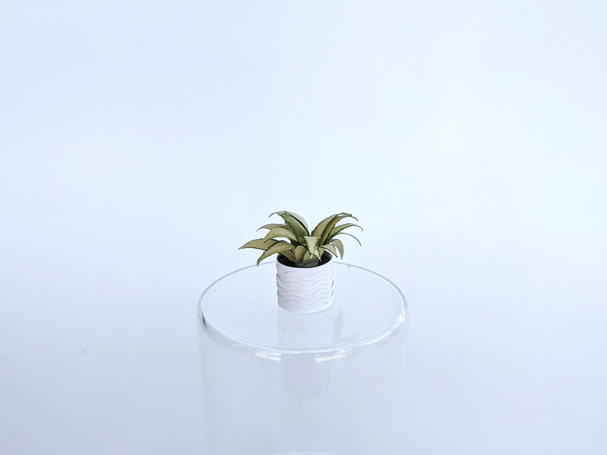 3D Mini Paper Plant Kit Easy Pre-cut Paper Craft Activity - Etsy