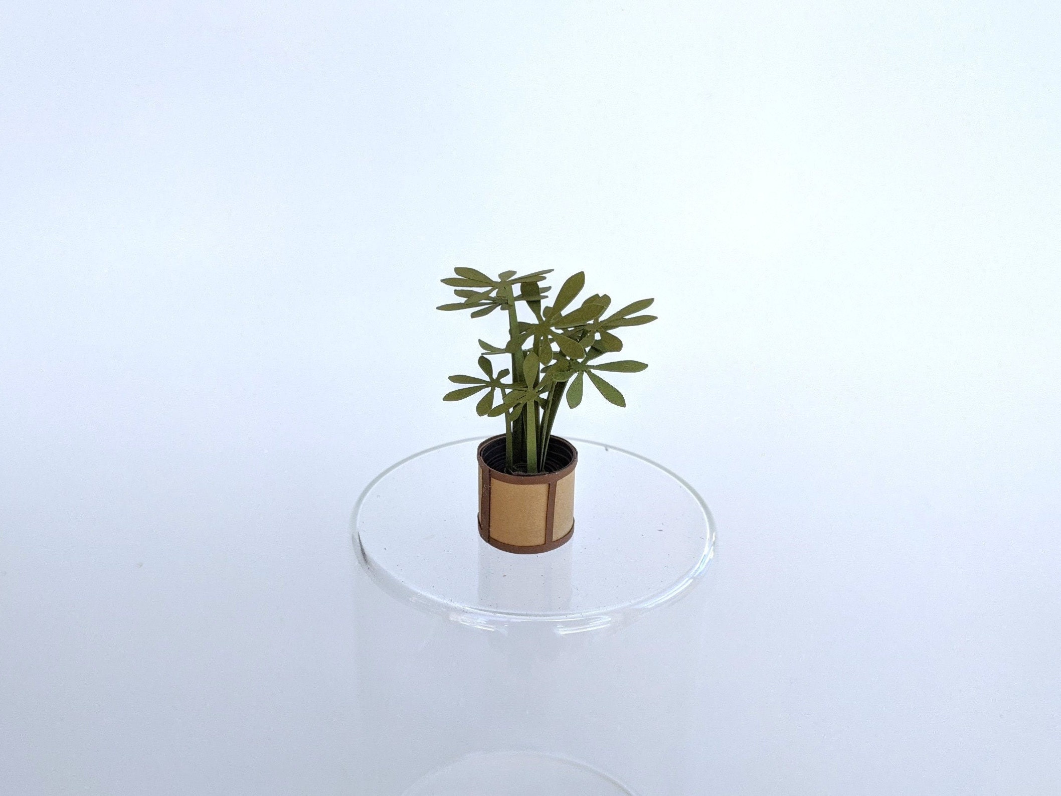 3D Mini Paper Plant Kit Easy Pre-cut Paper Craft Activity - Etsy