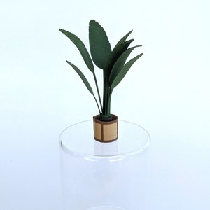 3D Mini Paper Plant Kit Easy Pre-cut Paper Craft Activity - Etsy