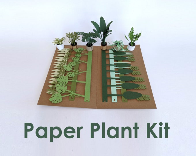 3D Mini Paper Plant Kit Easy Pre-cut Paper Craft Activity for Beginners ...