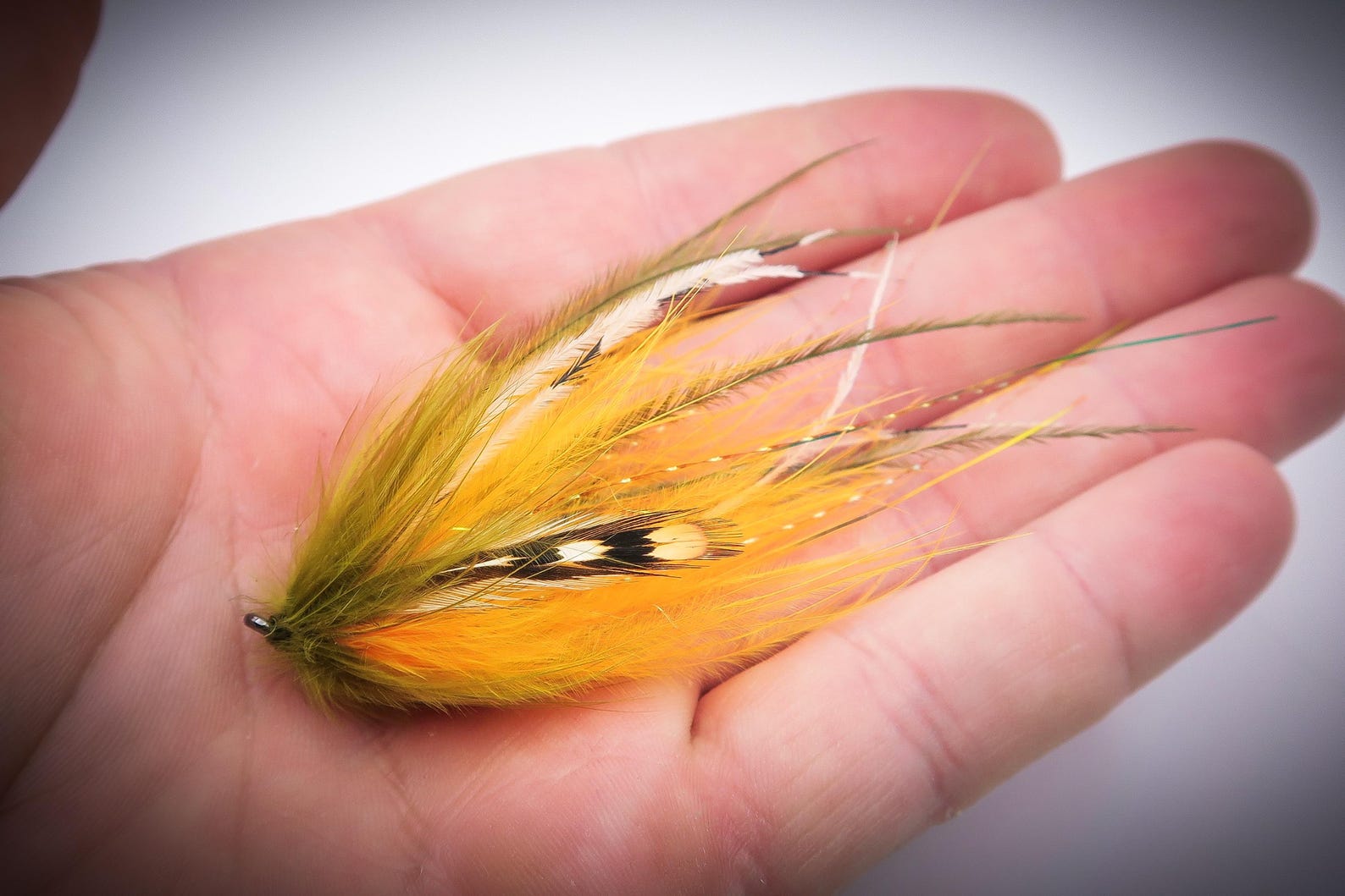 Single Stage Intruder - Etsy