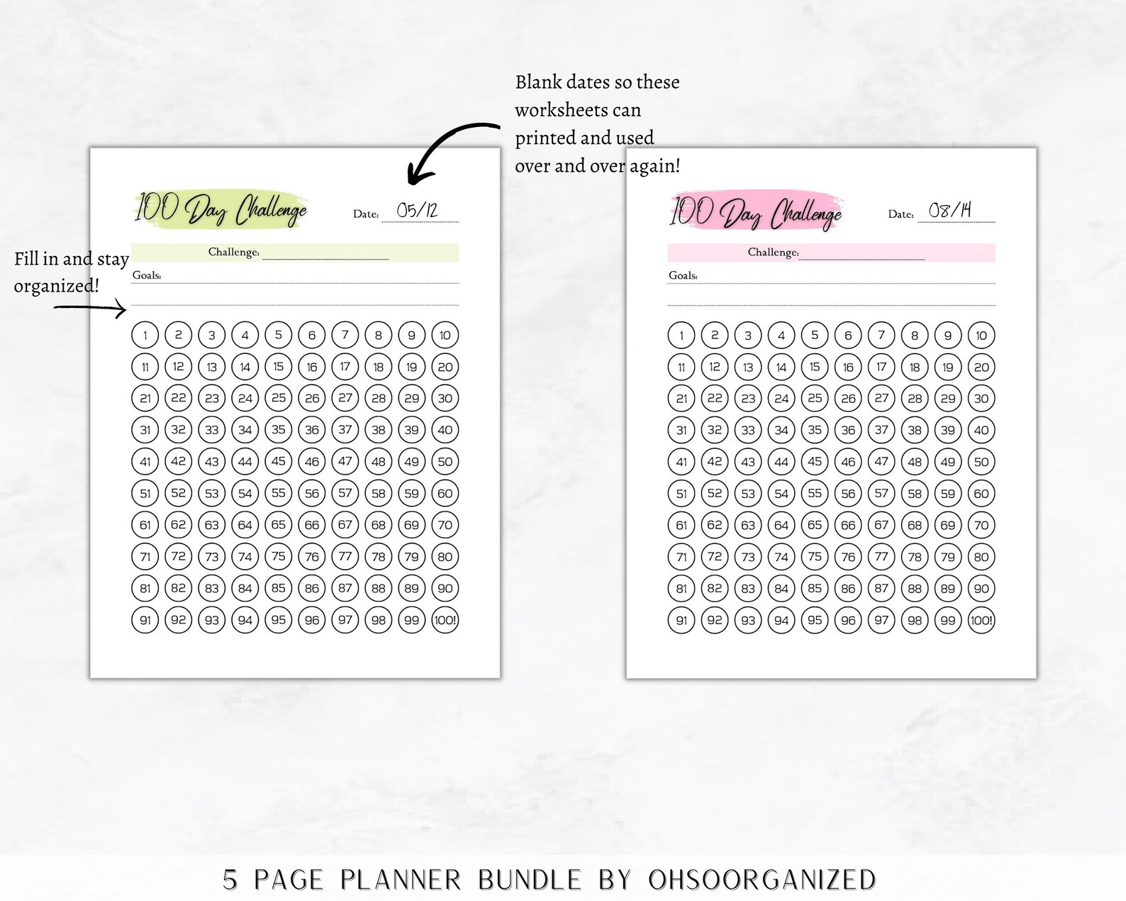 100 Day Challenge Printable, Digital Goal Tracking, 100 Day Goal ...