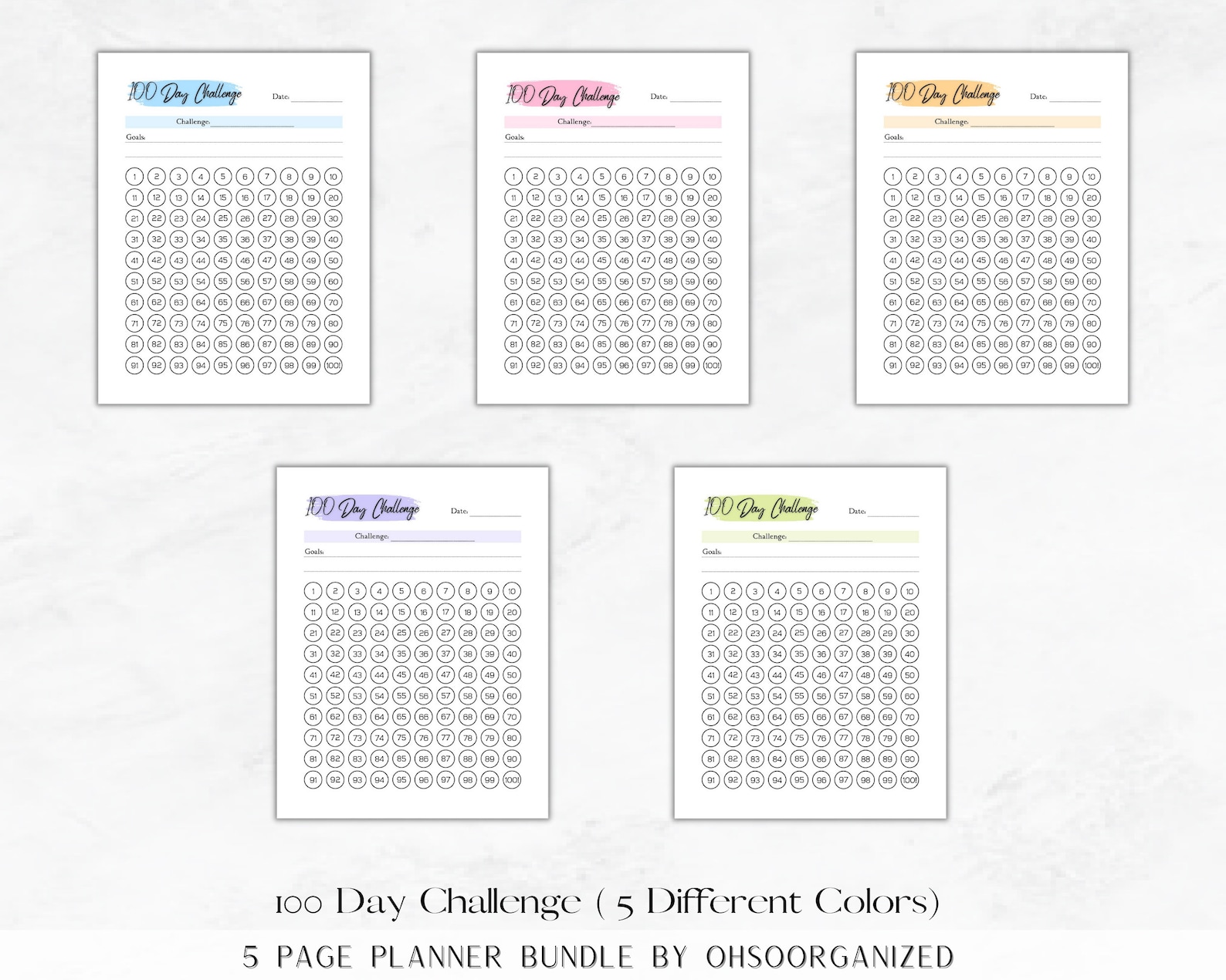 100 Day Challenge Printable, Digital Goal Tracking, 100 Day Goal ...