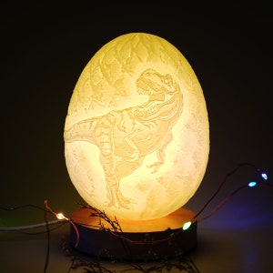 Personalized Gifts Dinosaur Egg Lamp Night Light Kids Bedside Dino Room ...