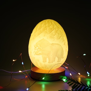 Personalized Gifts Dinosaur Egg Lamp Night Light Kids Bedside Dino Room ...