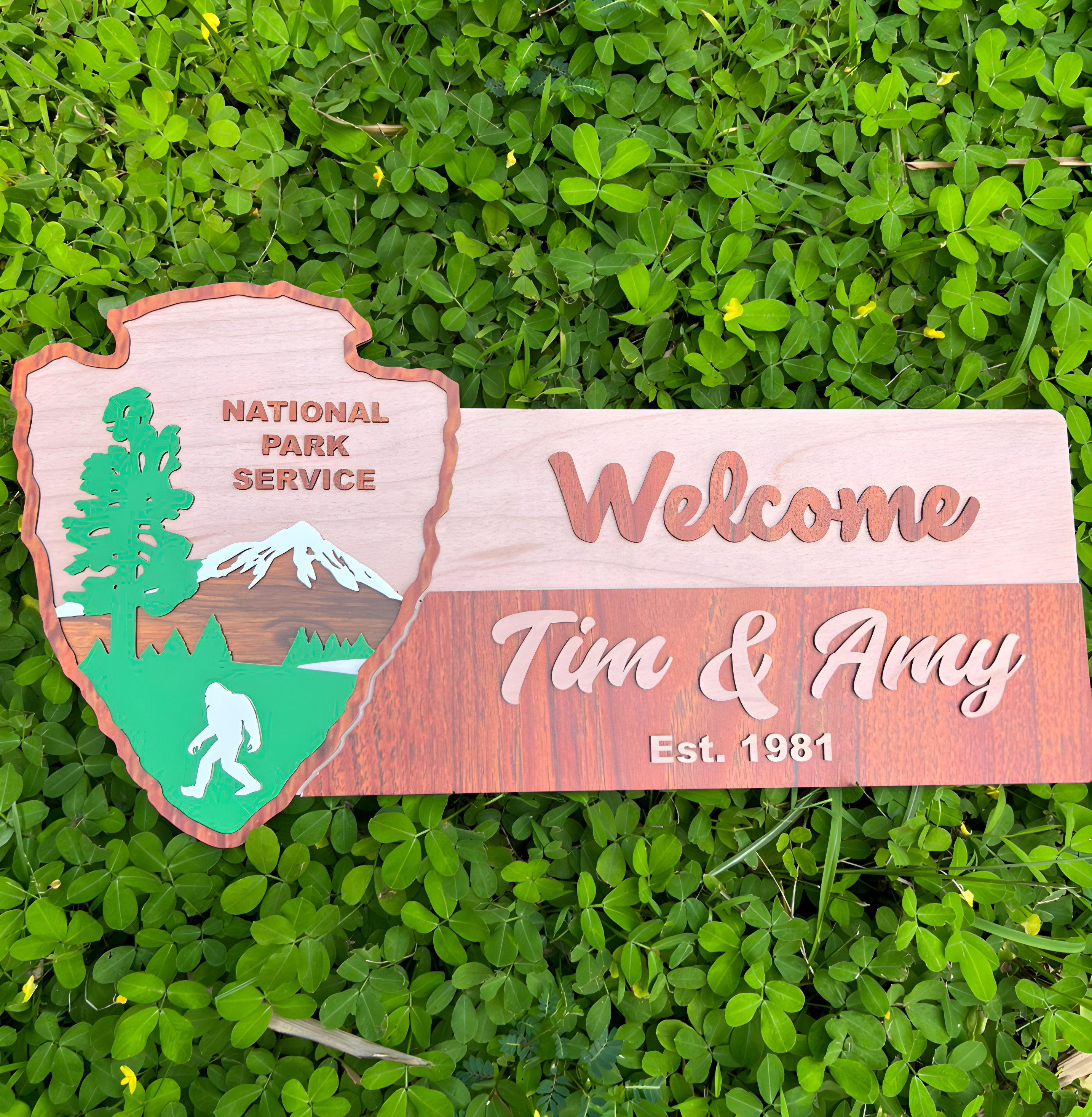 Custom National Park Sign, Wedding Sign, Camp Wedding, Nature Lover ...