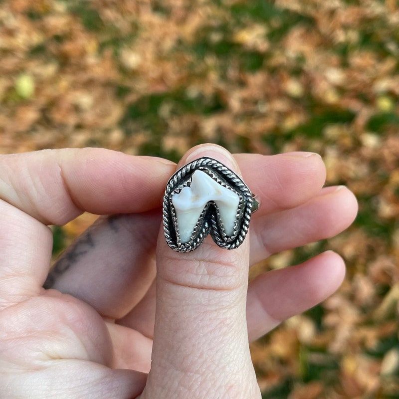 Tooth Ring - Etsy