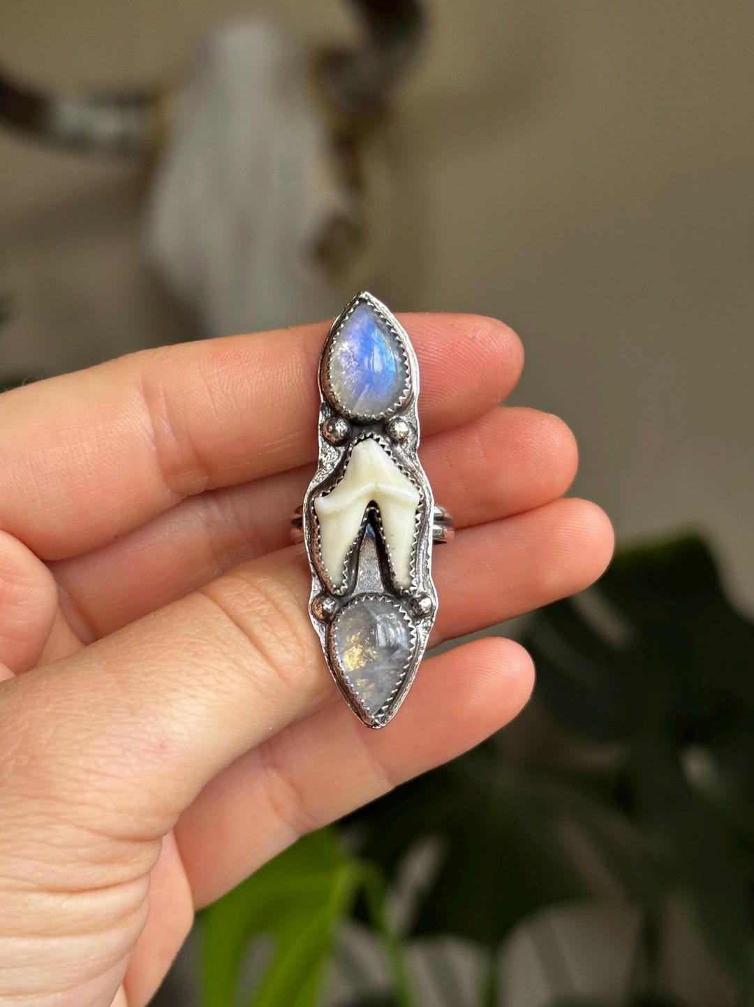 Coyote Tooth & Double Moonstone Handmade Ring - Etsy